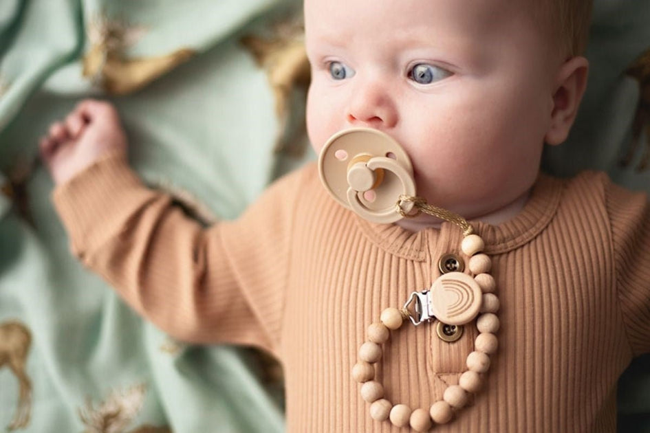 Baby Dummies - Shop BIBS Dummies & Dummy Chains Online